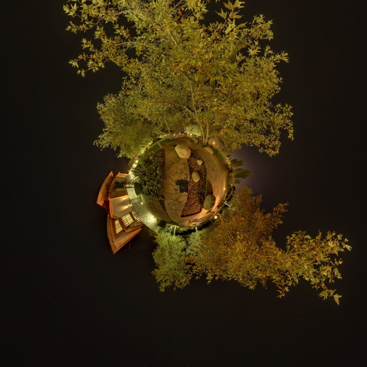 360-Degree - Black Forest Motion