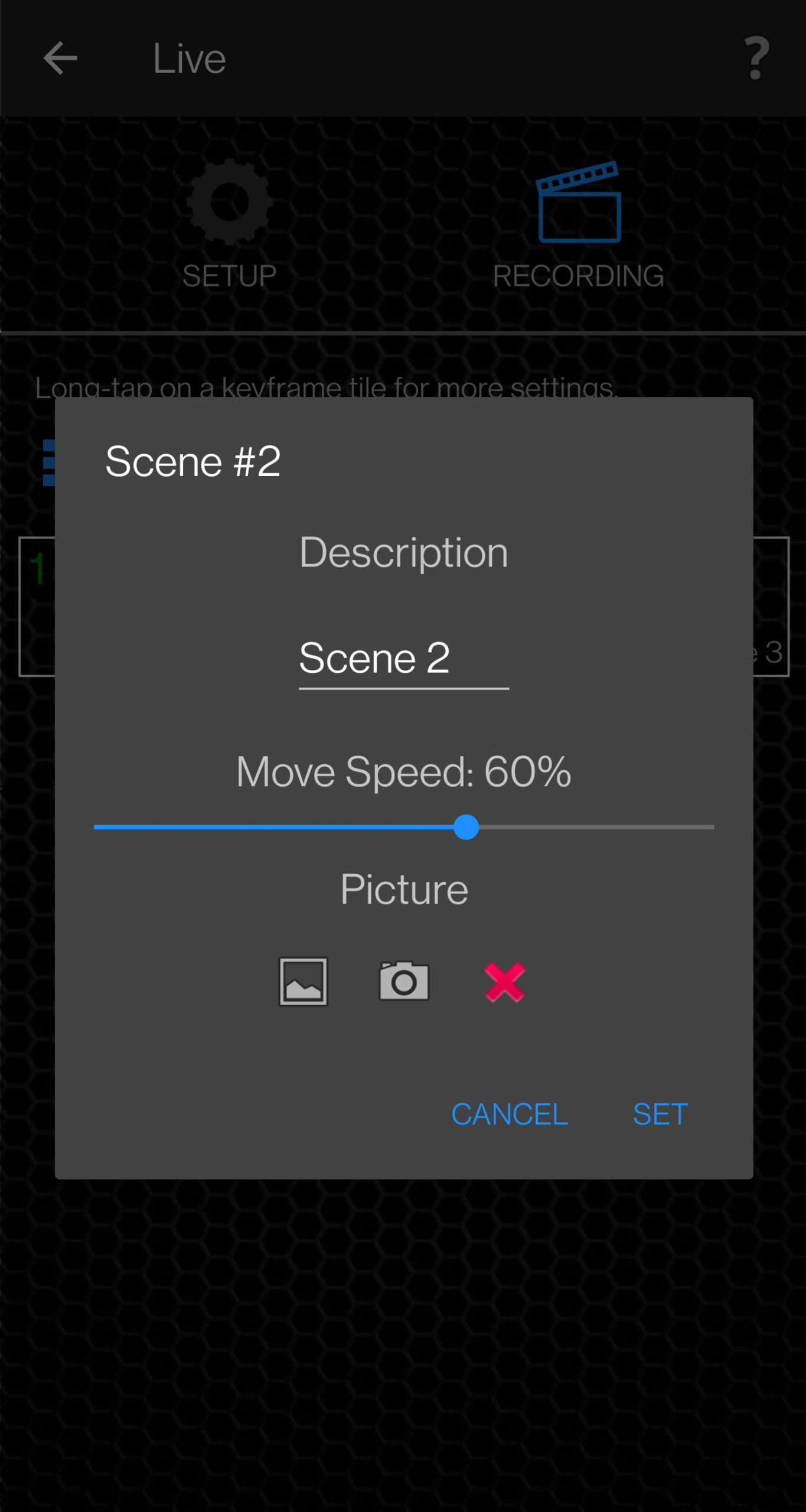 Live - Black Forest Motion