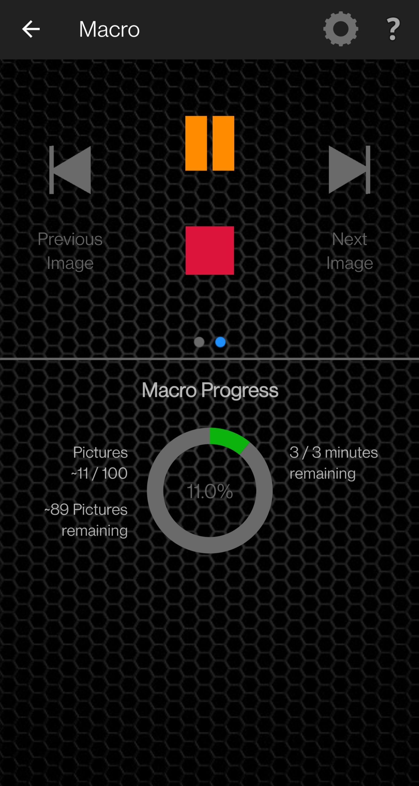 Macro - Black Forest Motion